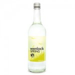 Wenlock Spring Water - Sparkling (750ml Glass Bottle) x 12 - H2O CI Ltd ...