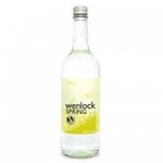 Wenlock Spring Water - Sparkling (330ml Glass Bottle) x 24 - H2O CI Ltd ...